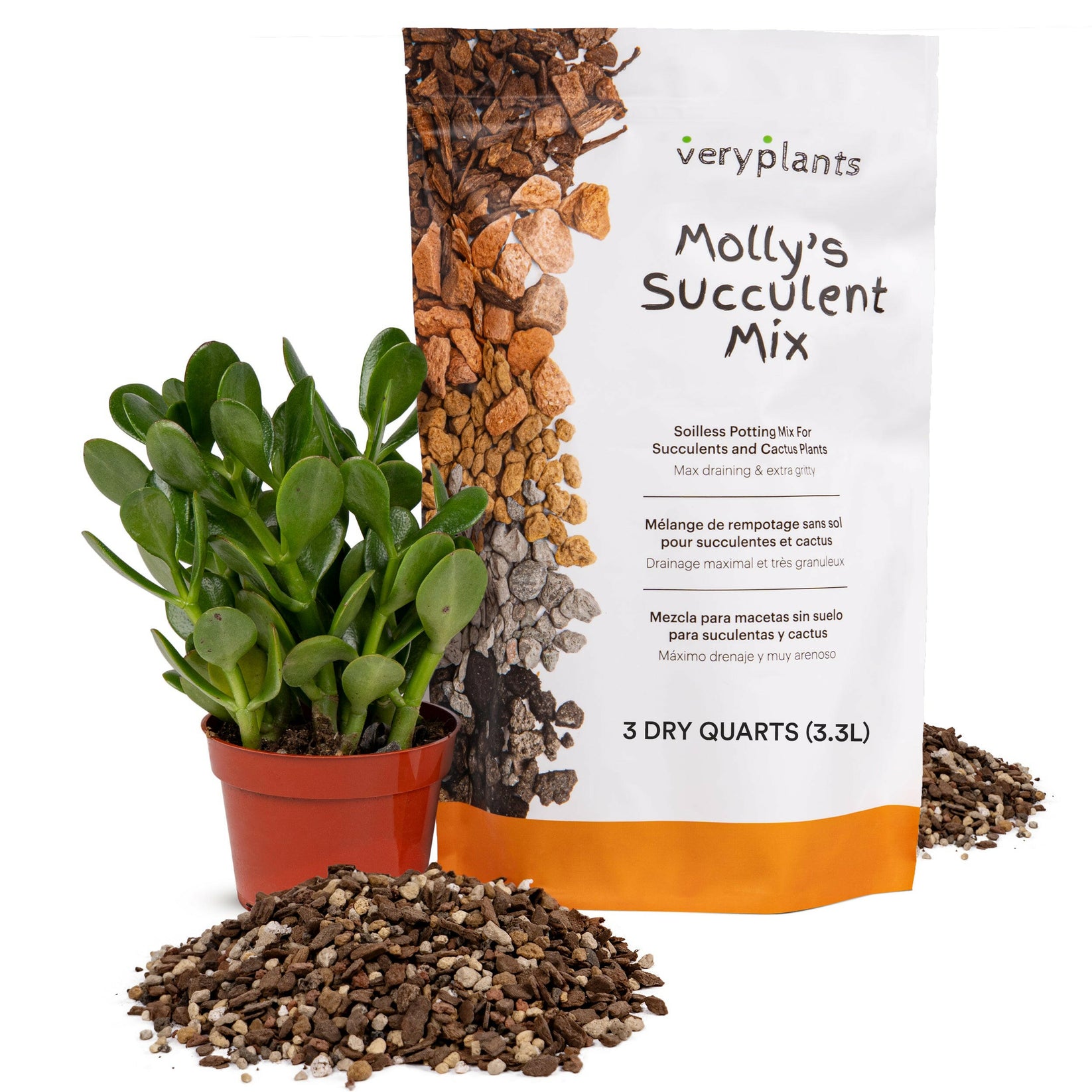 Molly's Succulent Mix - Premium Gritty Soilless Potting Mix for ...