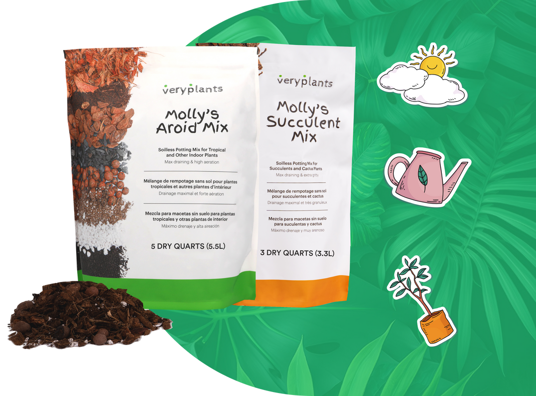 Molly's Premium Potting Mixes for Tropical Plants - VeryPlants – VERYPLANTS