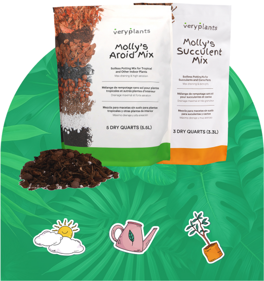 Molly's Premium Potting Mixes for Tropical Plants - VeryPlants – VERYPLANTS