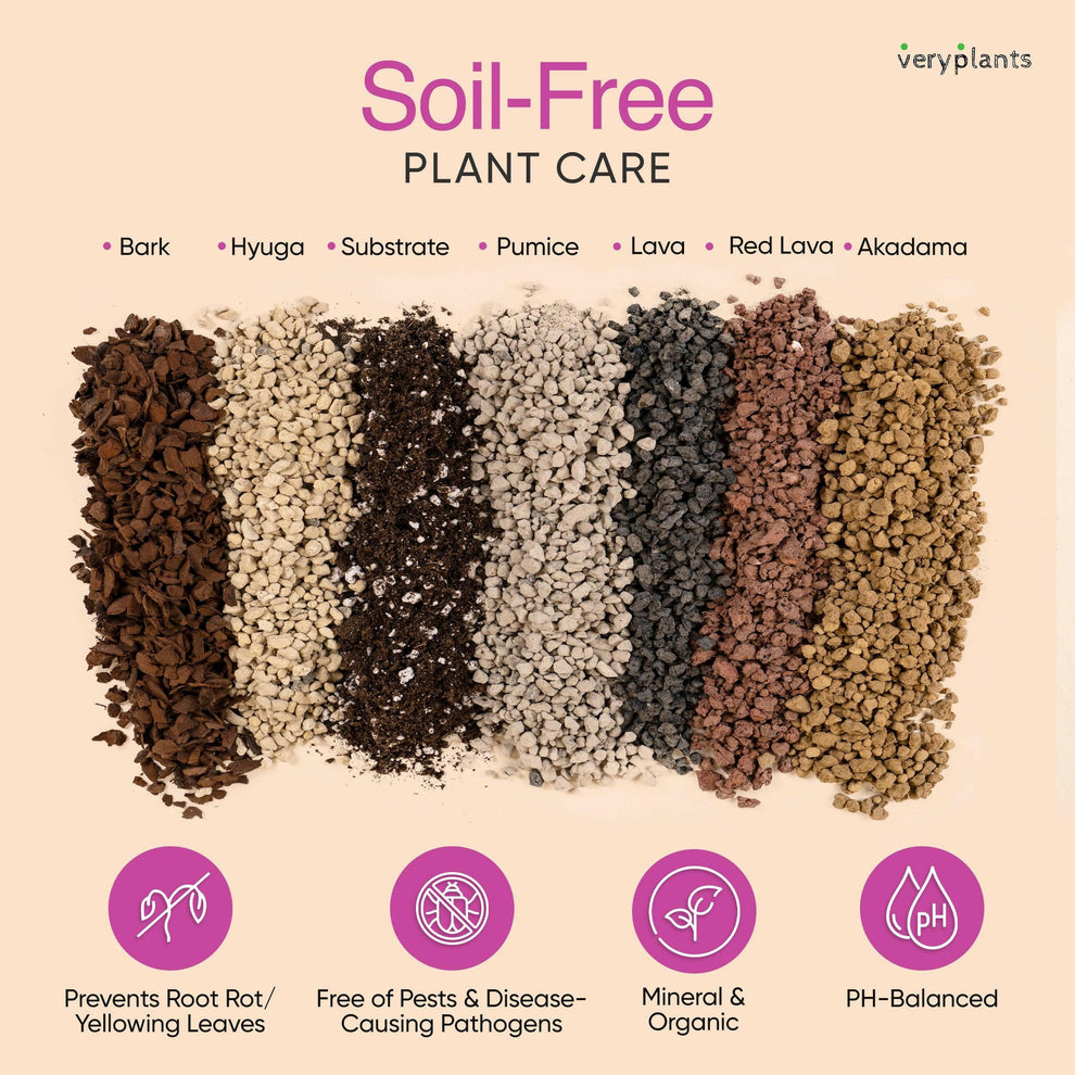 Molly's Orchid Mix - Premium Soilless Orchid Potting Mix - VeryPlants ...