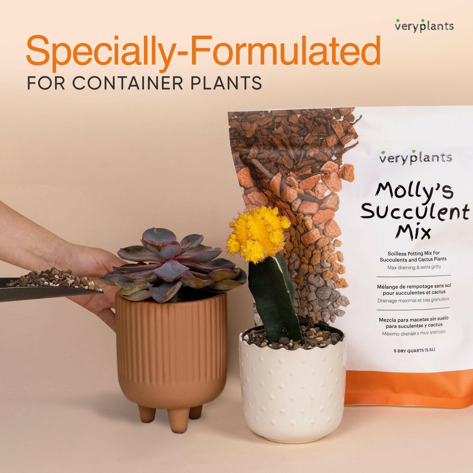 Molly's Succulent Mix - Premium Gritty Soilless Potting Mix for ...