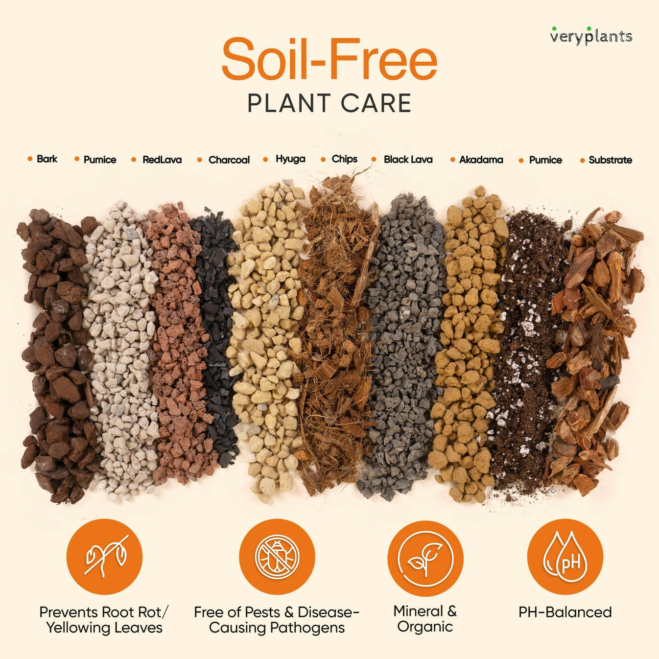 Molly's Succulent Mix - Premium Gritty Soilless Potting Mix for ...
